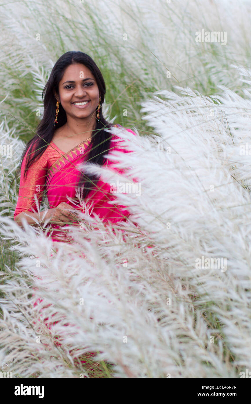 Dhaka,Banglades; Catkins locally known as kash flower.Catkins or ...