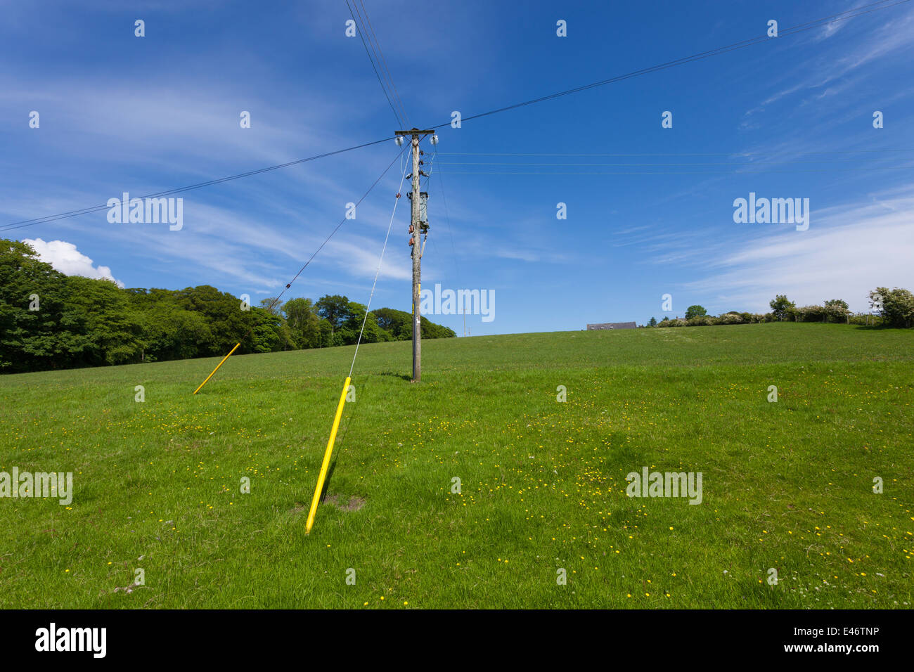 Telegraph pole in a field Stock Photo - Alamy
