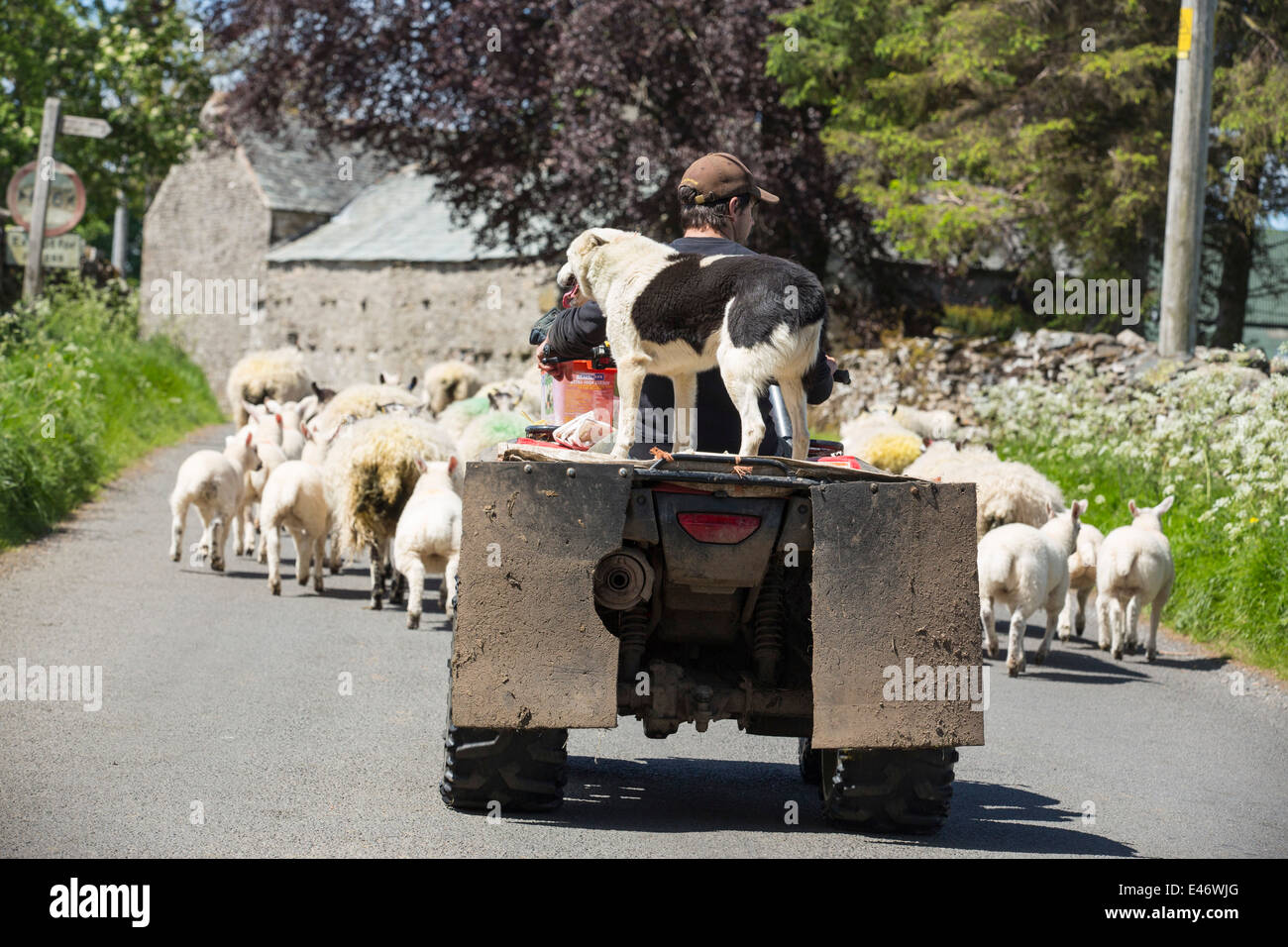 Bike lake district hi-res stock photography and images - Alamy