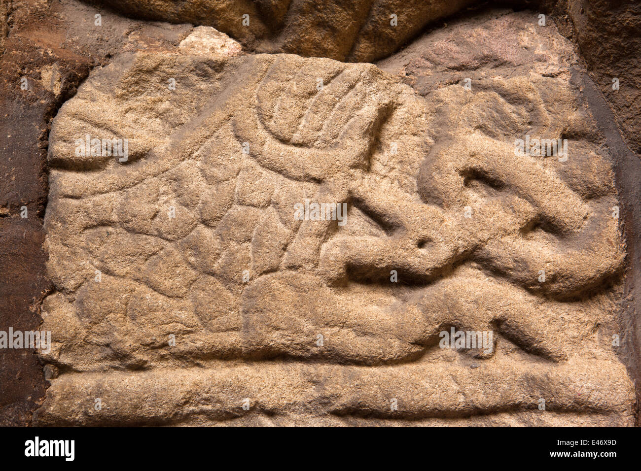 The headless beast hi-res stock photography and images - Alamy