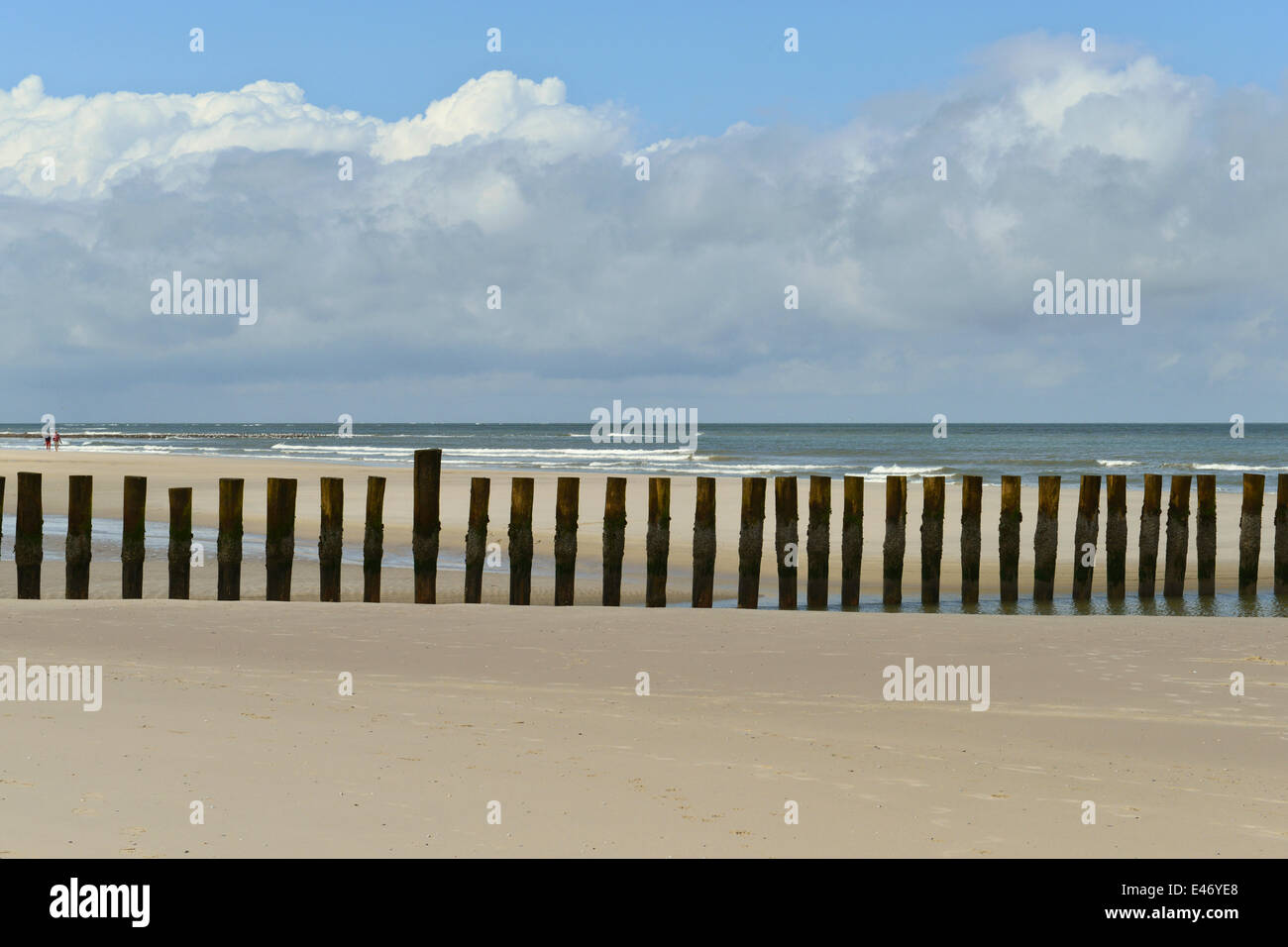 Row of piles in the sand of Wangerooge's beach, 18 August 2013 Stock ...
