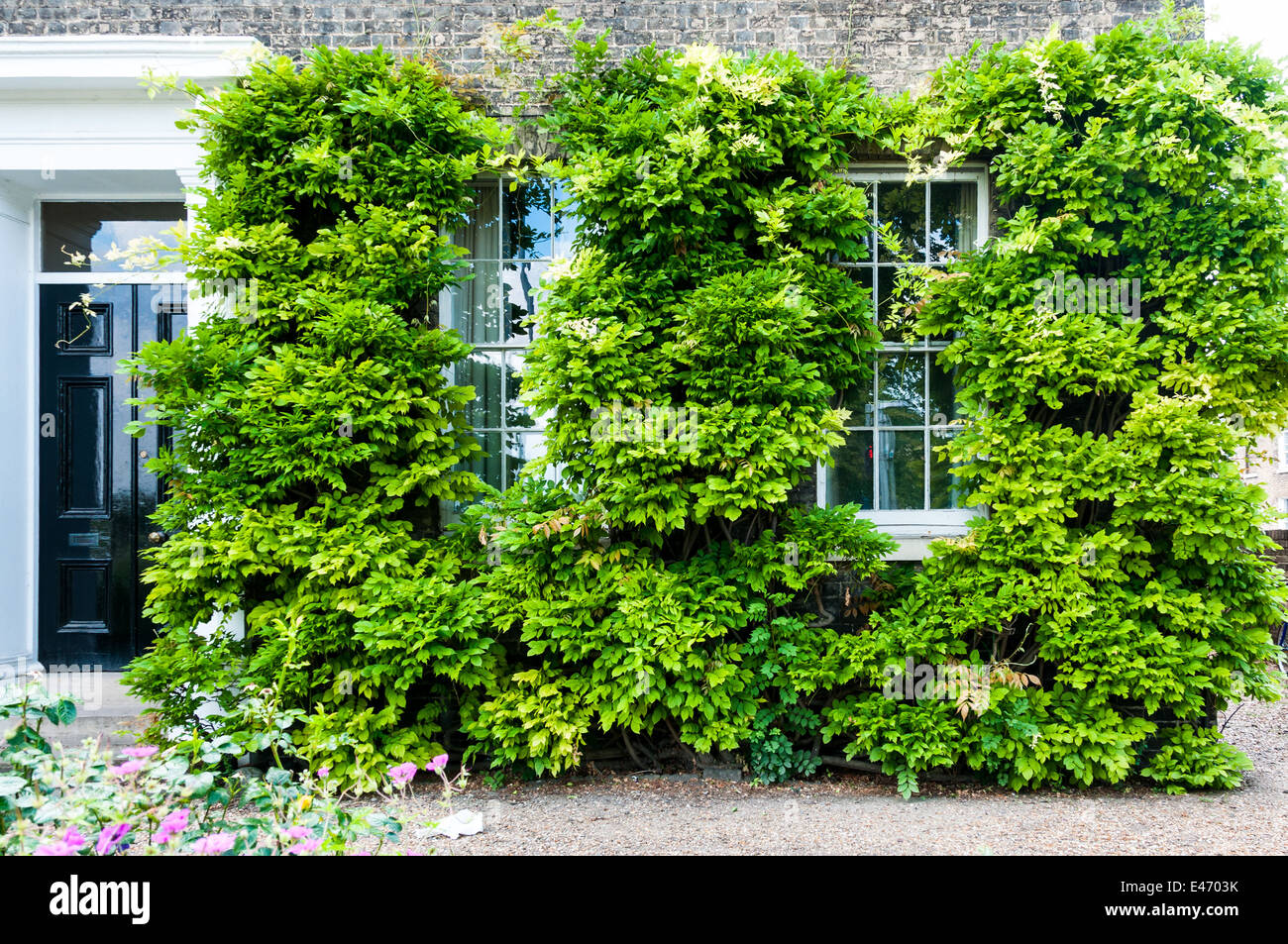 Front of English house Stock Photo - Alamy
