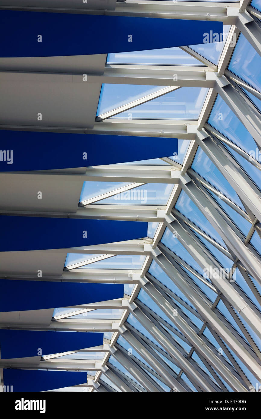 Steel skeleton and glass ceiling of the modern mass production building ...