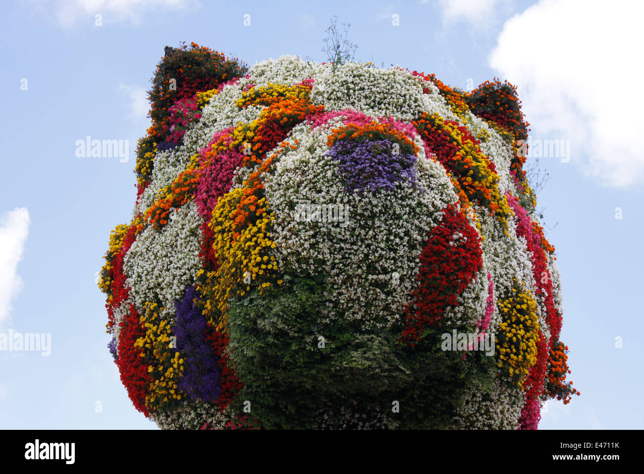 Colored flowers, Guggenheim museum, Bilbao, Bilbo, Biscaye, Basque ...