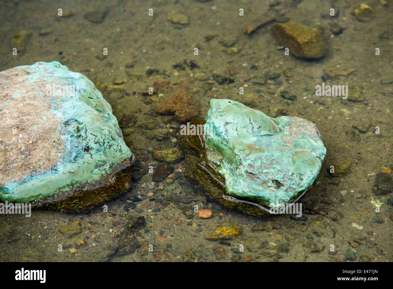 Windermere toxic algae hi-res stock photography and images - Alamy