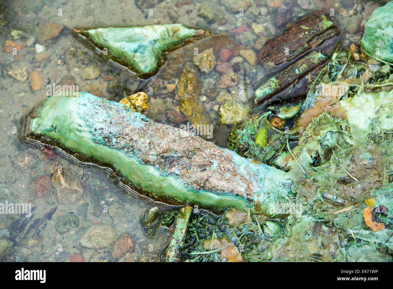 Blue Green Algae Windermere High Resolution Stock Photography and ...