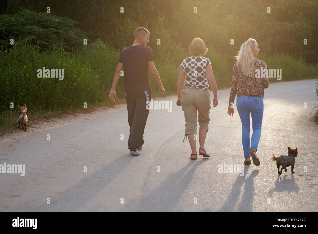 Three People With Dogs