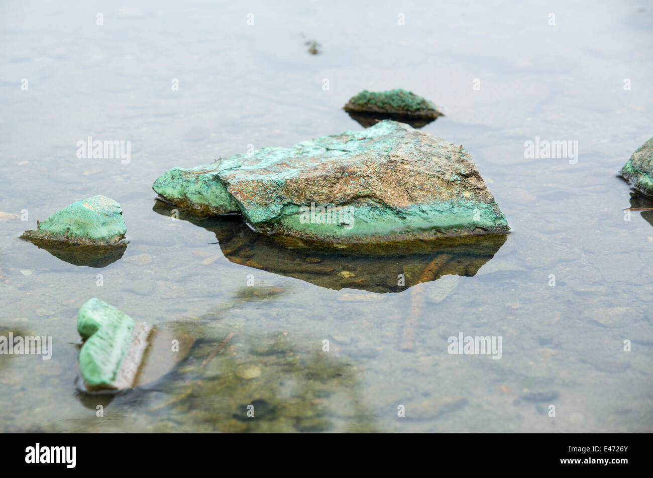 Blue green algae windermere hi-res stock photography and images - Alamy