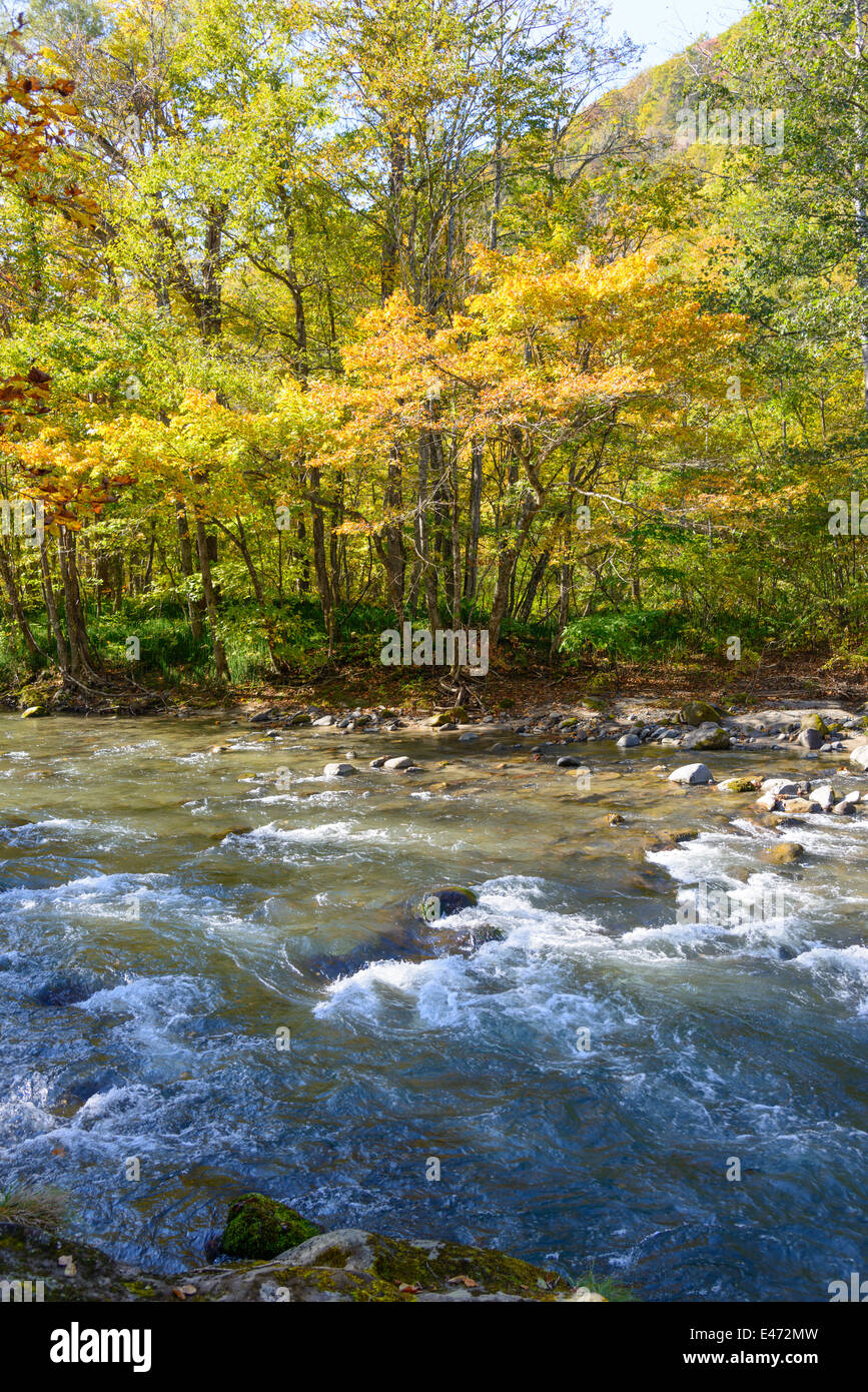 Oirase Gorge In Towada High Resolution Stock Photography and Images - Alamy