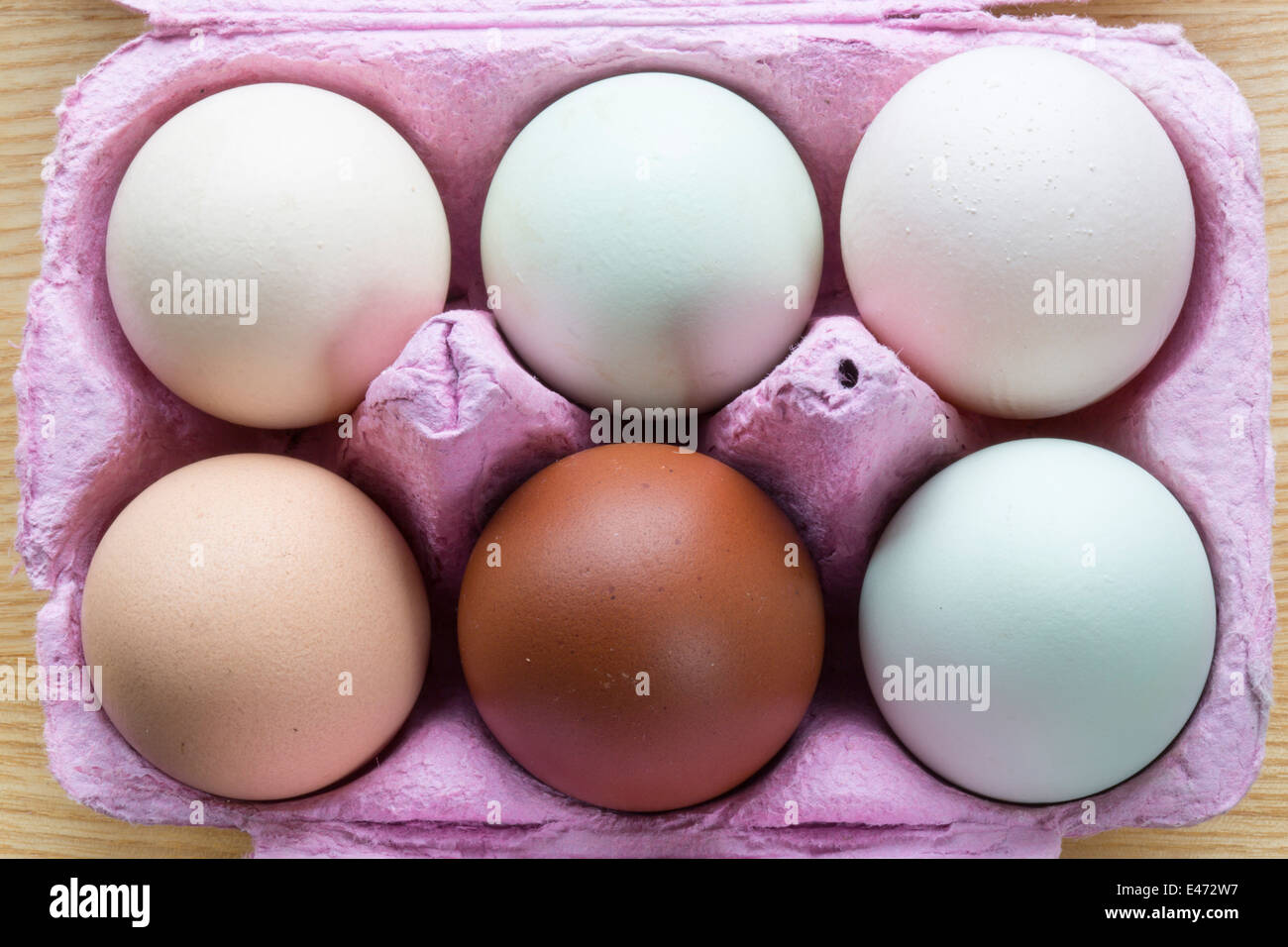 Free range eggs from happy chickens of different breeds Stock Photo - Alamy