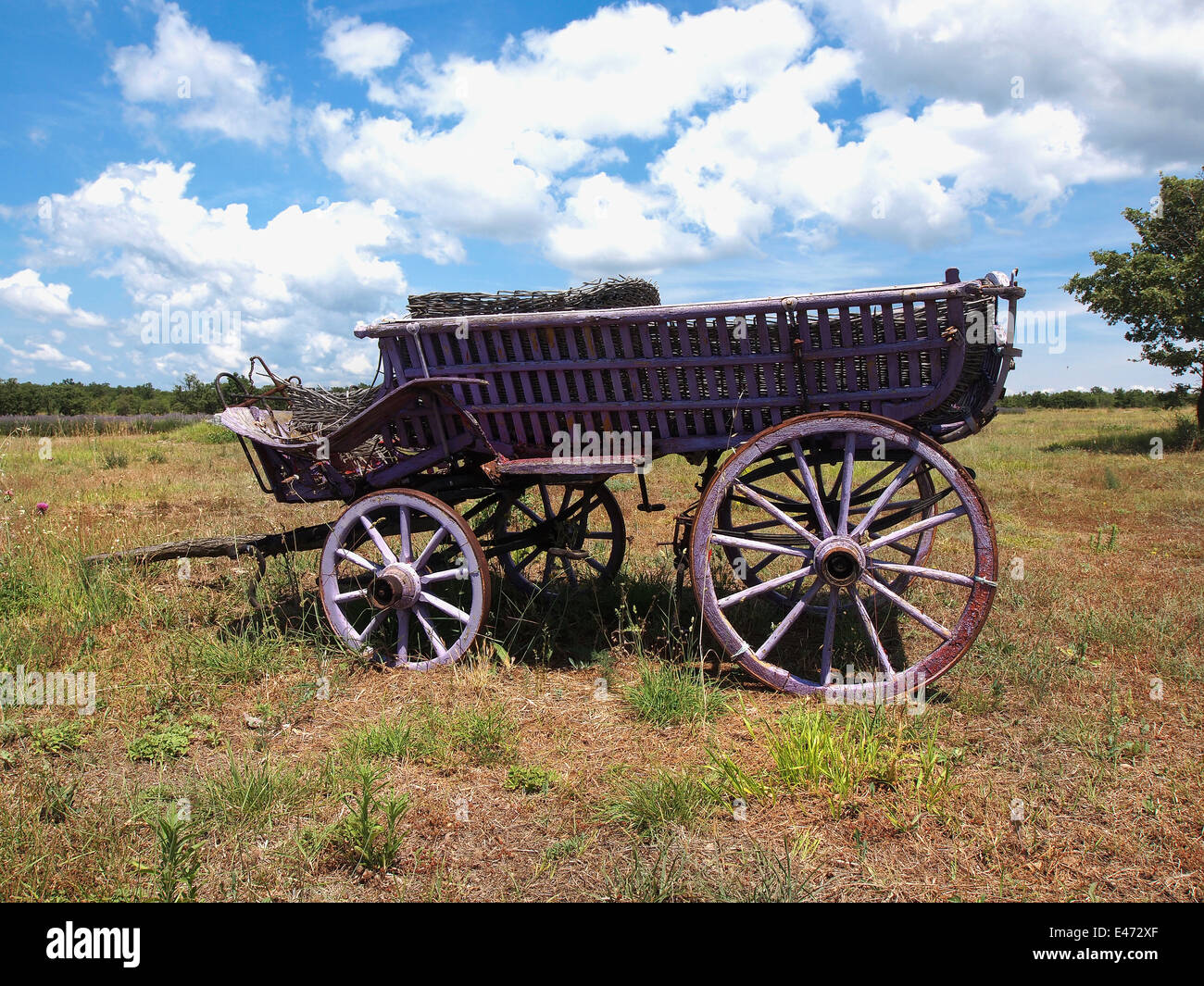 Coach buggy hi-res stock photography and images - Alamy