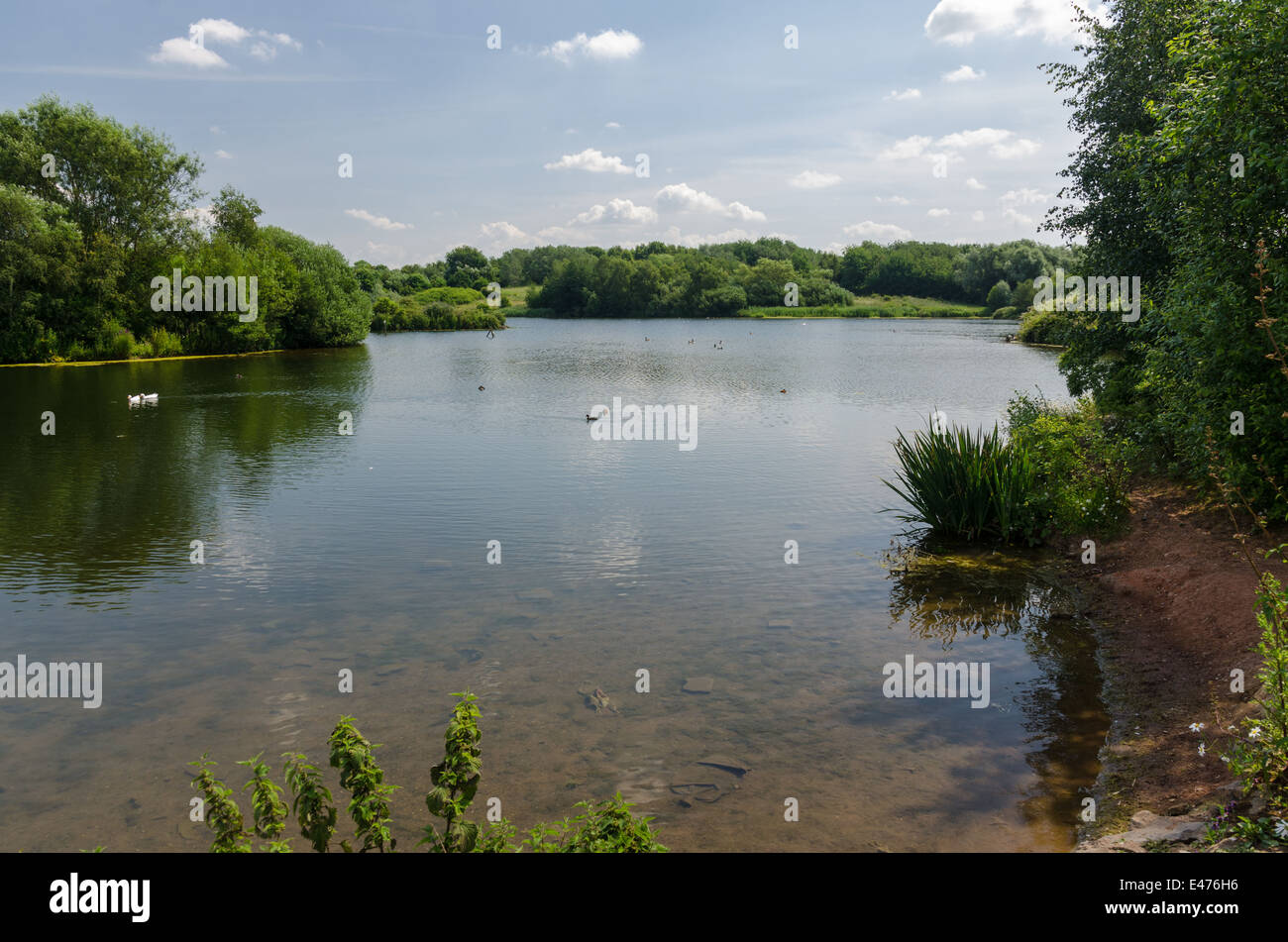 Sheepwash Local nature Reserve in Dudley, West Midlands Stock Photo - Alamy