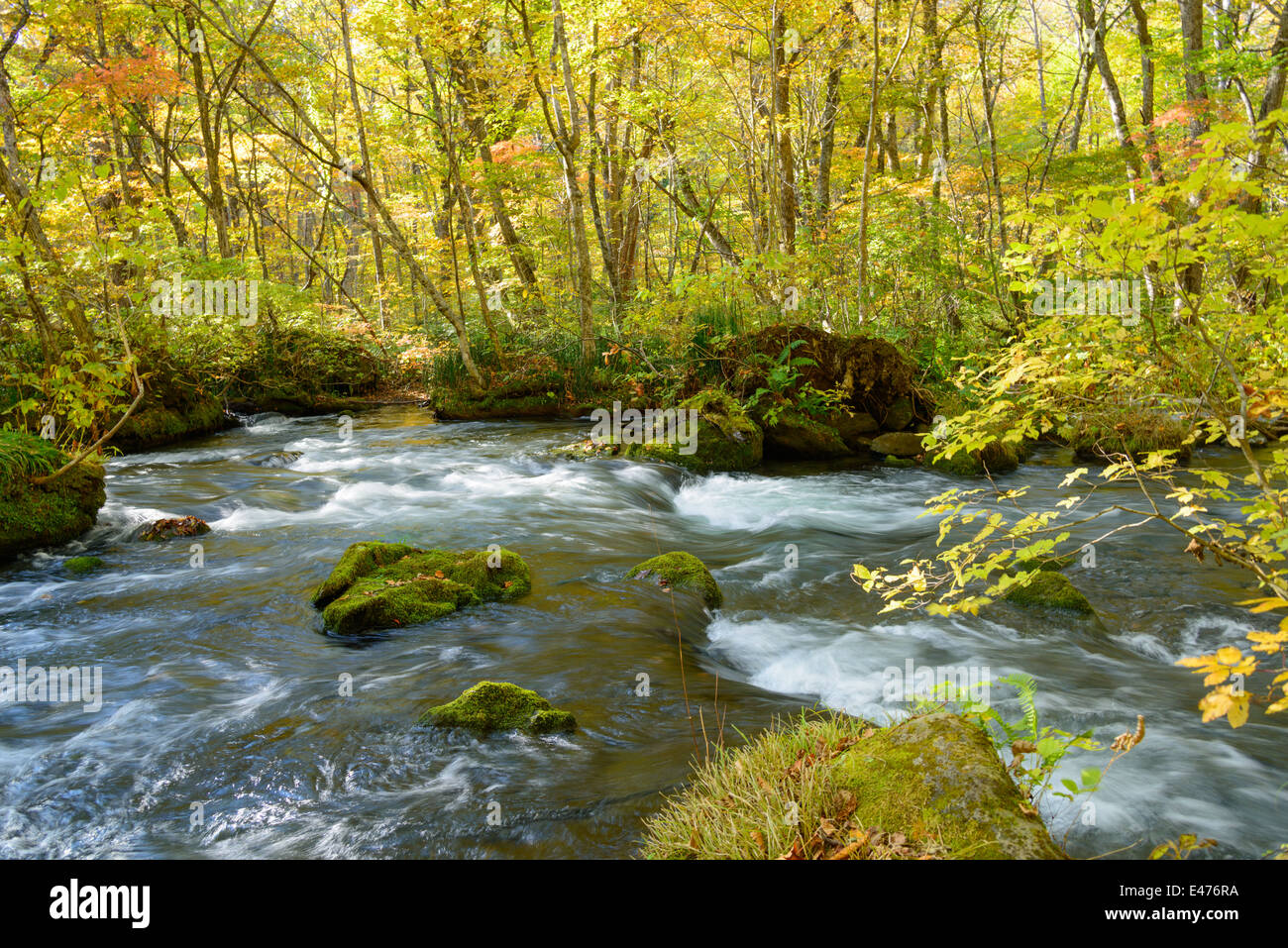 Autumn of Oirase Gorge in Aomori, Japan Stock Photo - Alamy