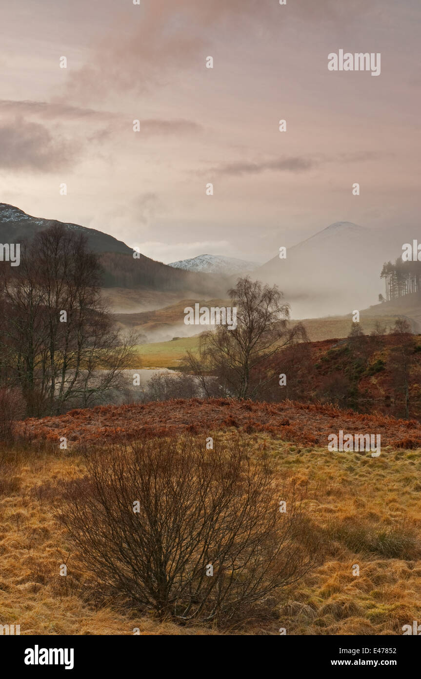 Mist over river hi-res stock photography and images - Alamy