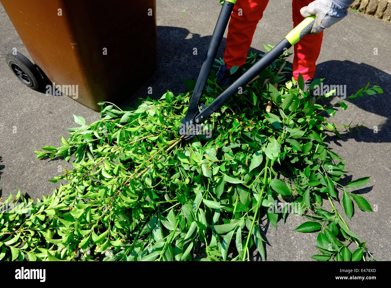 Cutting tree branch hi-res stock photography and images - Alamy