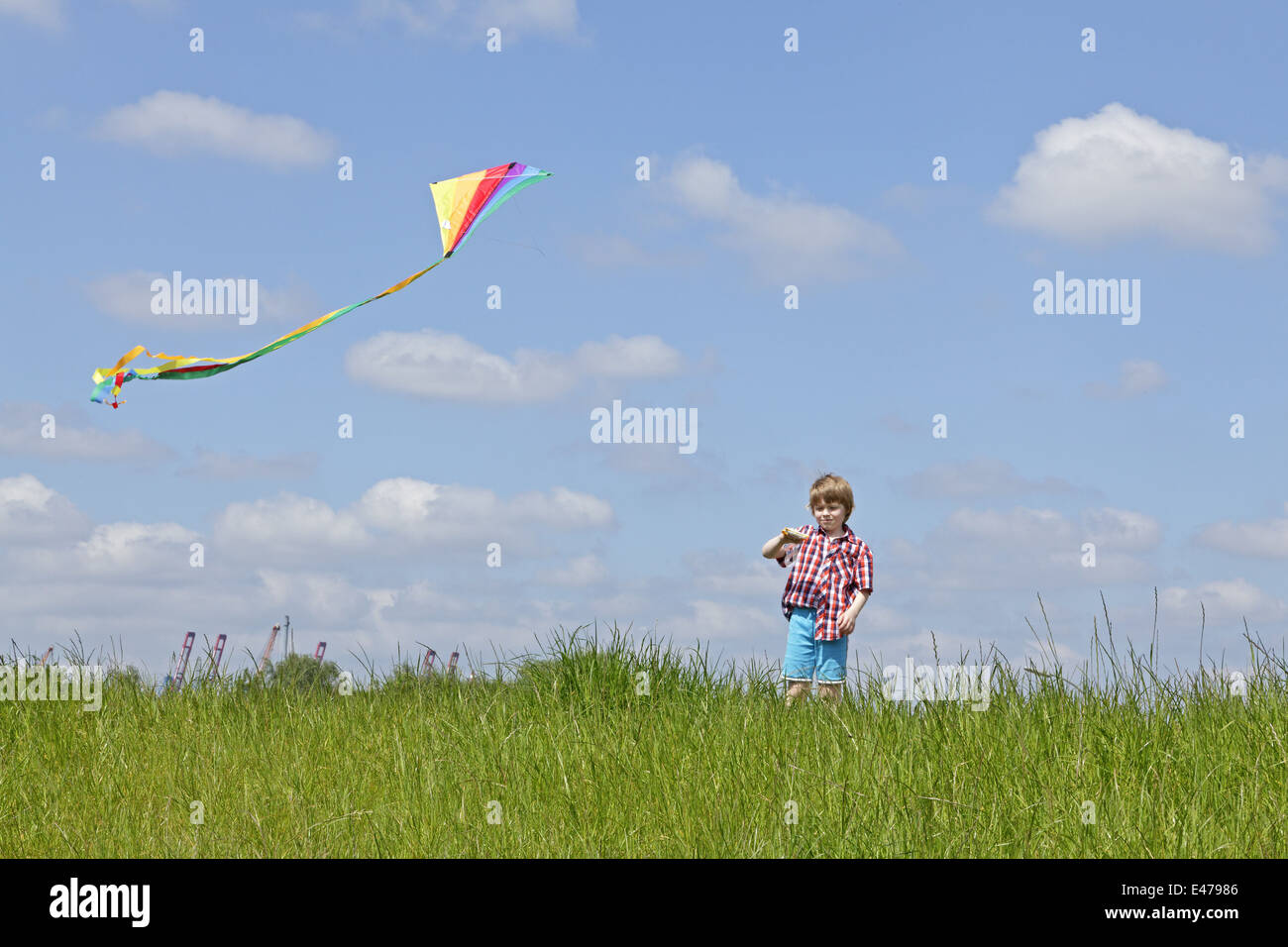 young boy flying a kite Stock Photo - Alamy