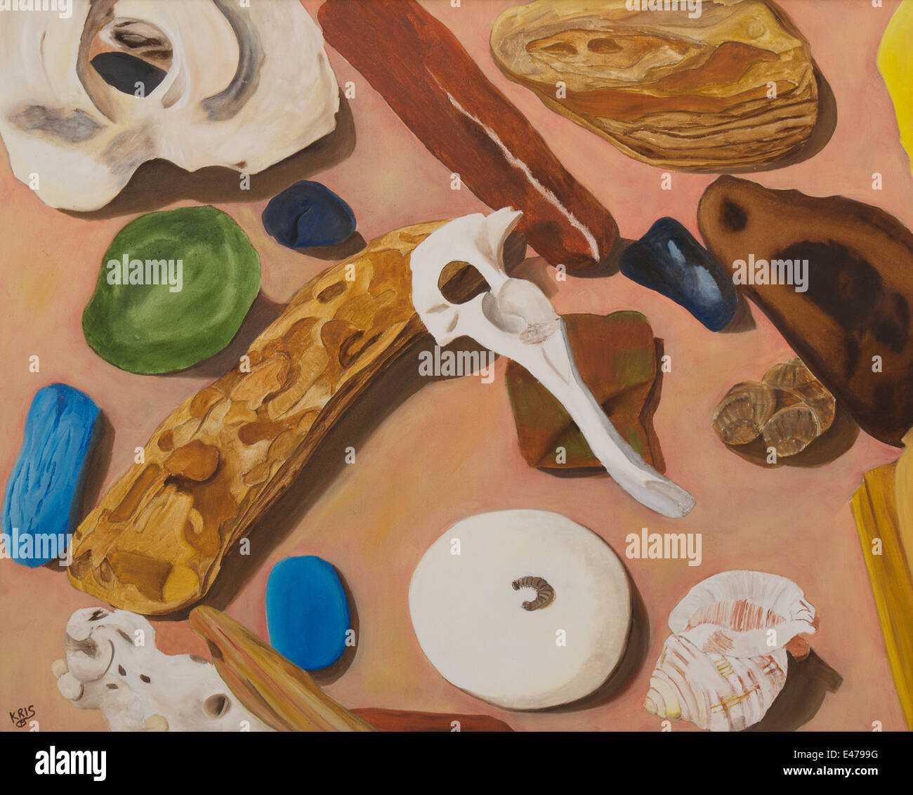 Bones shells hi-res stock photography and images - Alamy