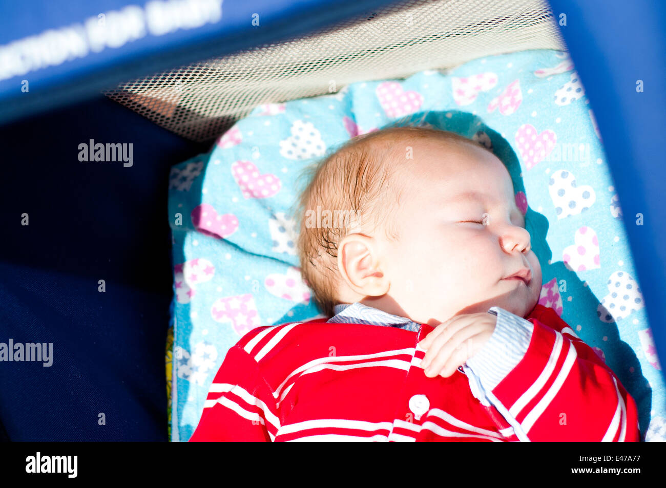 Cute little baby is sleeping in buggy Stock Photo - Alamy