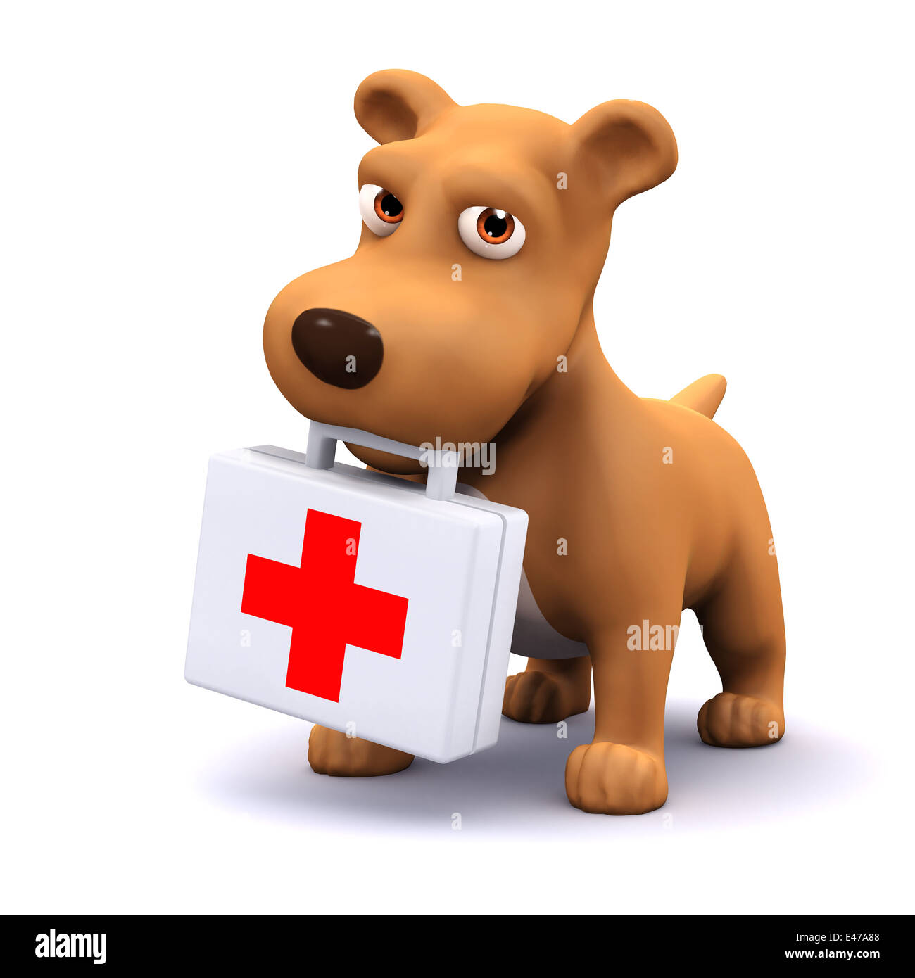3d Puppy dog carries a first aid kit in his mouth Stock Photo - Alamy