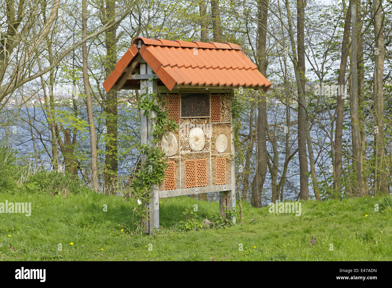 insect nesting box, Ploen, Schleswig-Holstein, Germany Stock Photo - Alamy