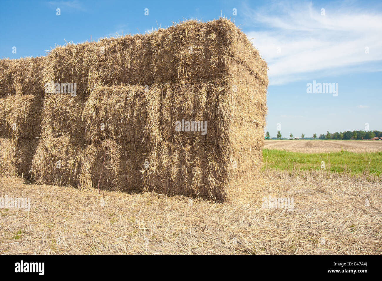 Haystack in autumn agriculture with trees in the sky hi-res stock ...