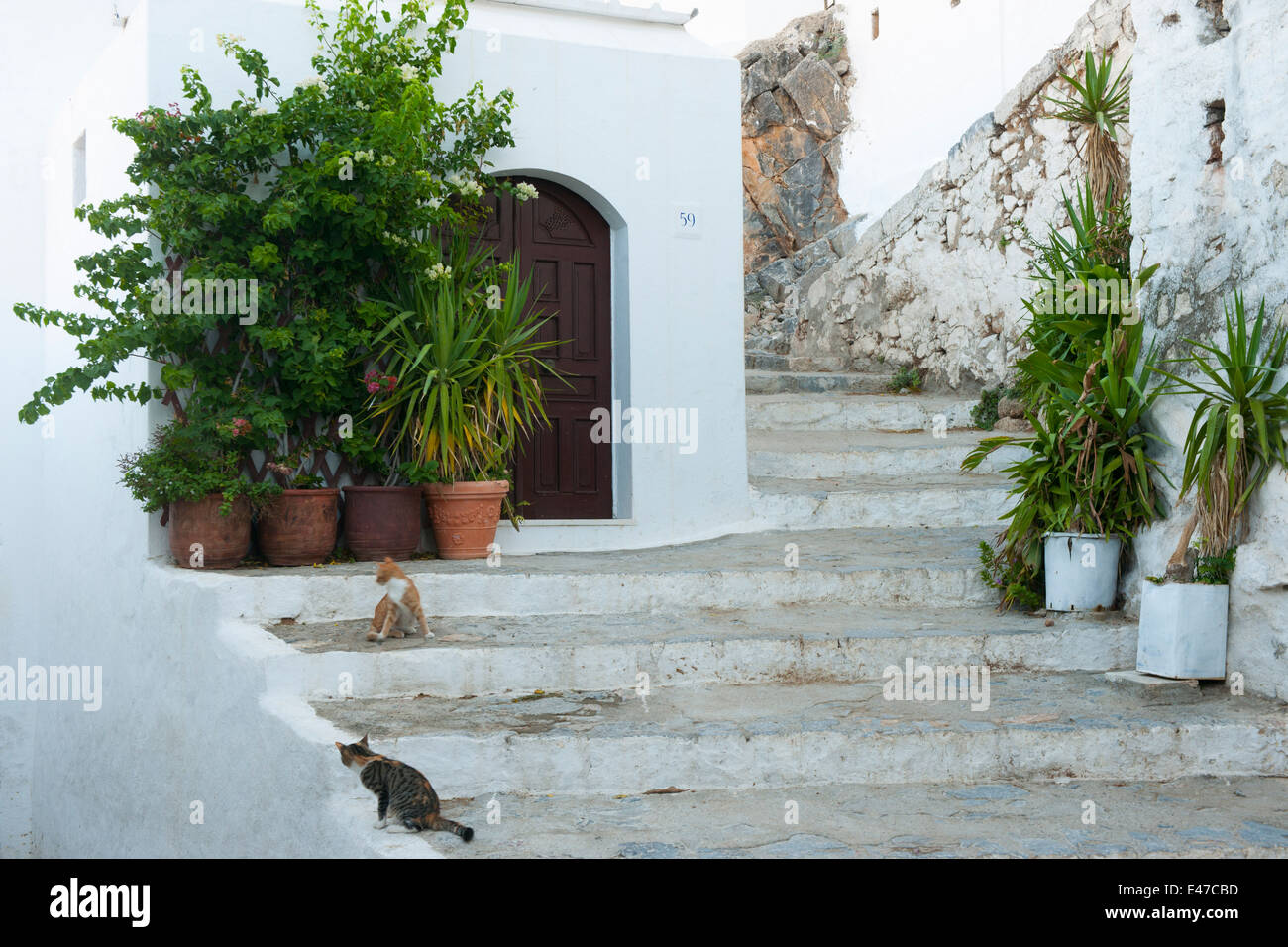 Griechenland, Rhodos, Lindos, Gasse in der Altstadt Stock Photo - Alamy