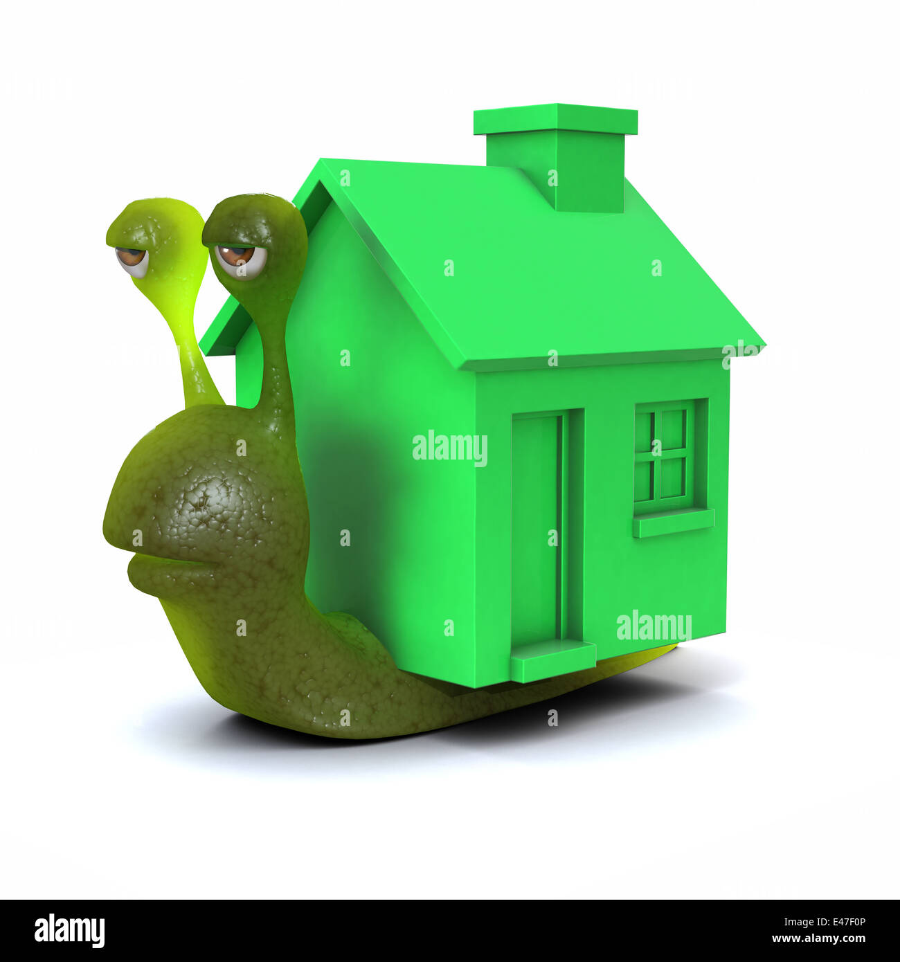 Snail with home on its back hi-res stock photography and images - Alamy