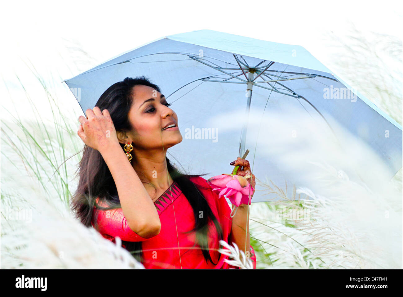 women with kash flower Stock Photo - Alamy