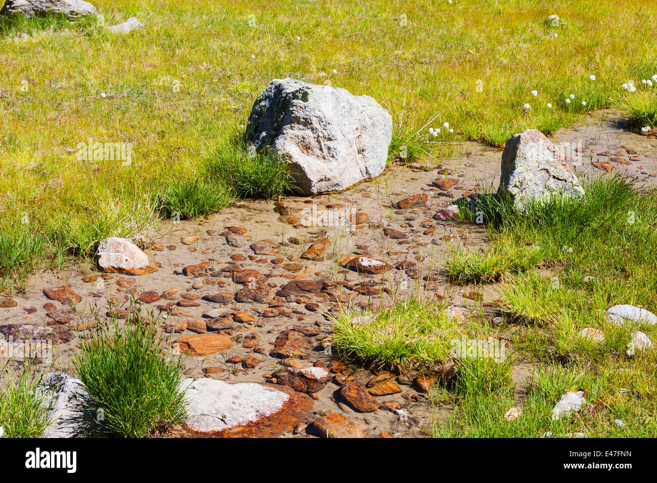 A little stream flowing through grass and stones at Rifflsee in the ...