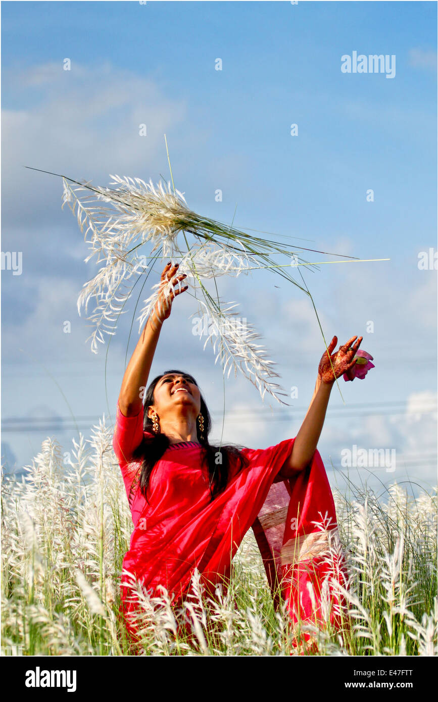 women with kash flower Stock Photo - Alamy