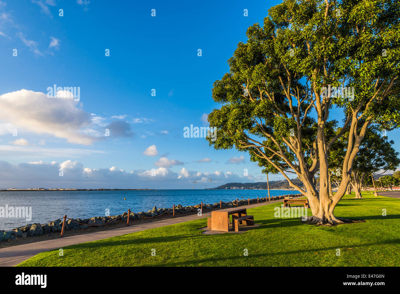 Shoreline park hi-res stock photography and images - Alamy