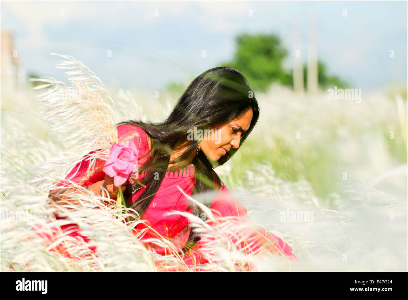 asia; asians; bangladesh; bangladeshis; beauty; blooming; blooms ...