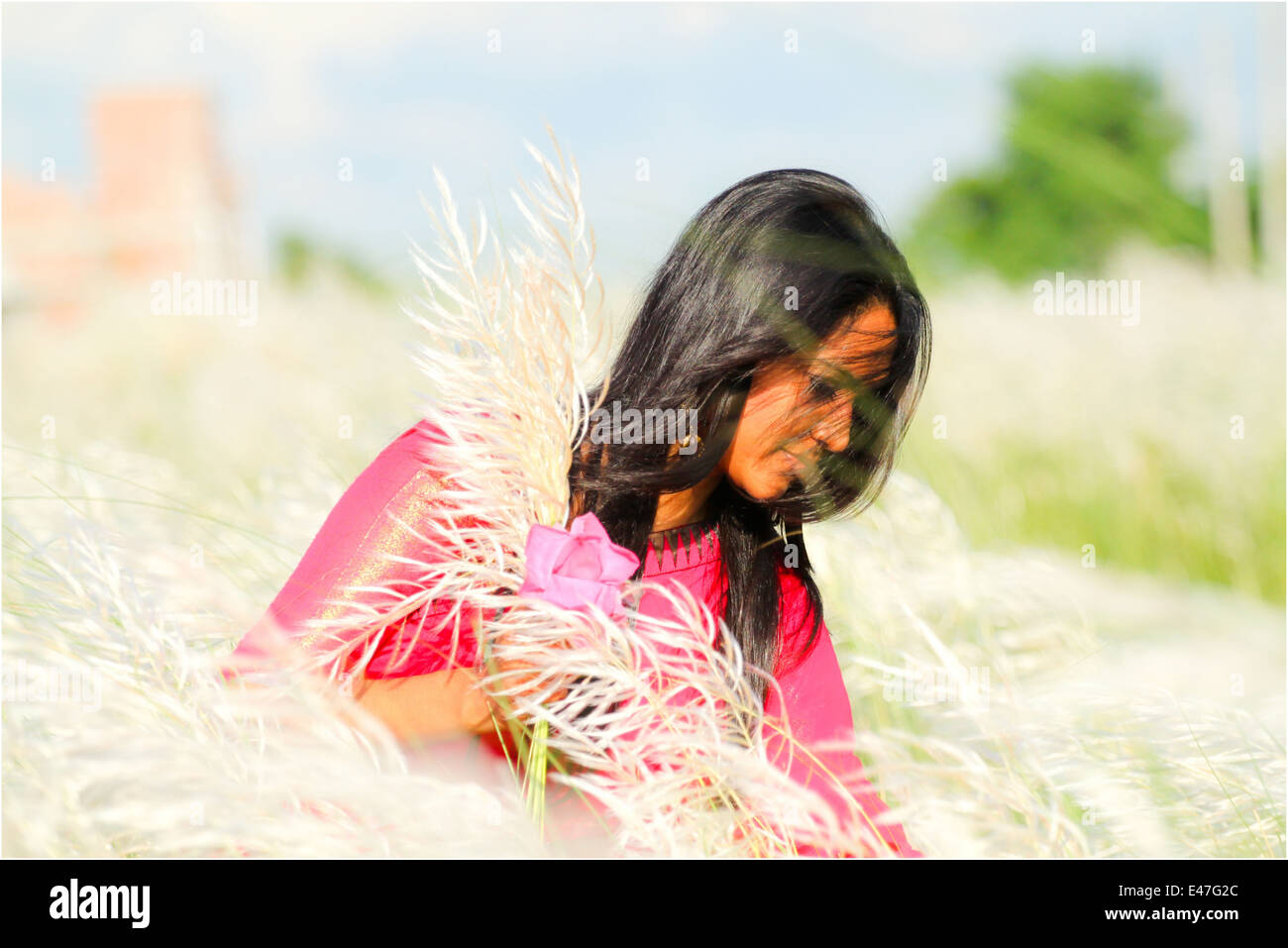 asia; asians; bangladesh; bangladeshis; beauty; blooming; blooms ...
