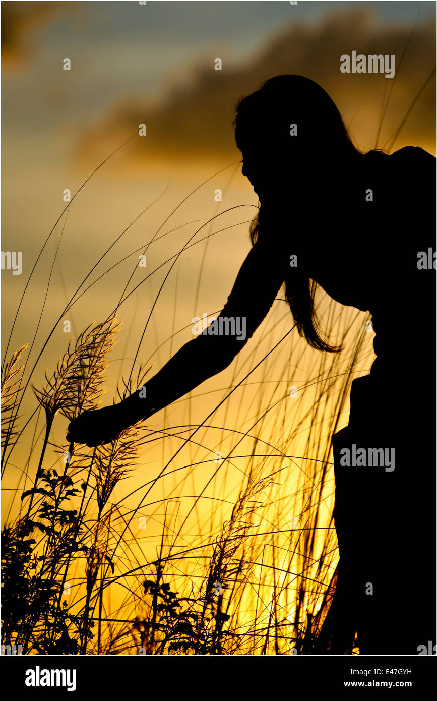 kash flower with women Stock Photo - Alamy
