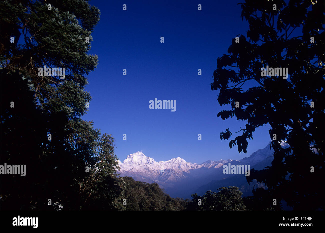 Nepal, Himalayas, scenic Stock Photo - Alamy