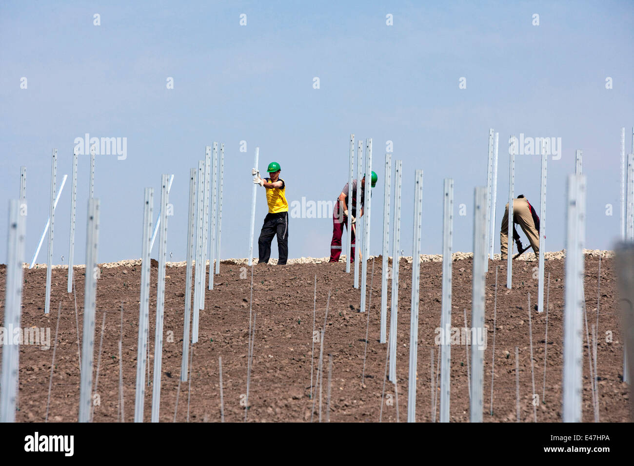 Renaturation area hi-res stock photography and images - Alamy