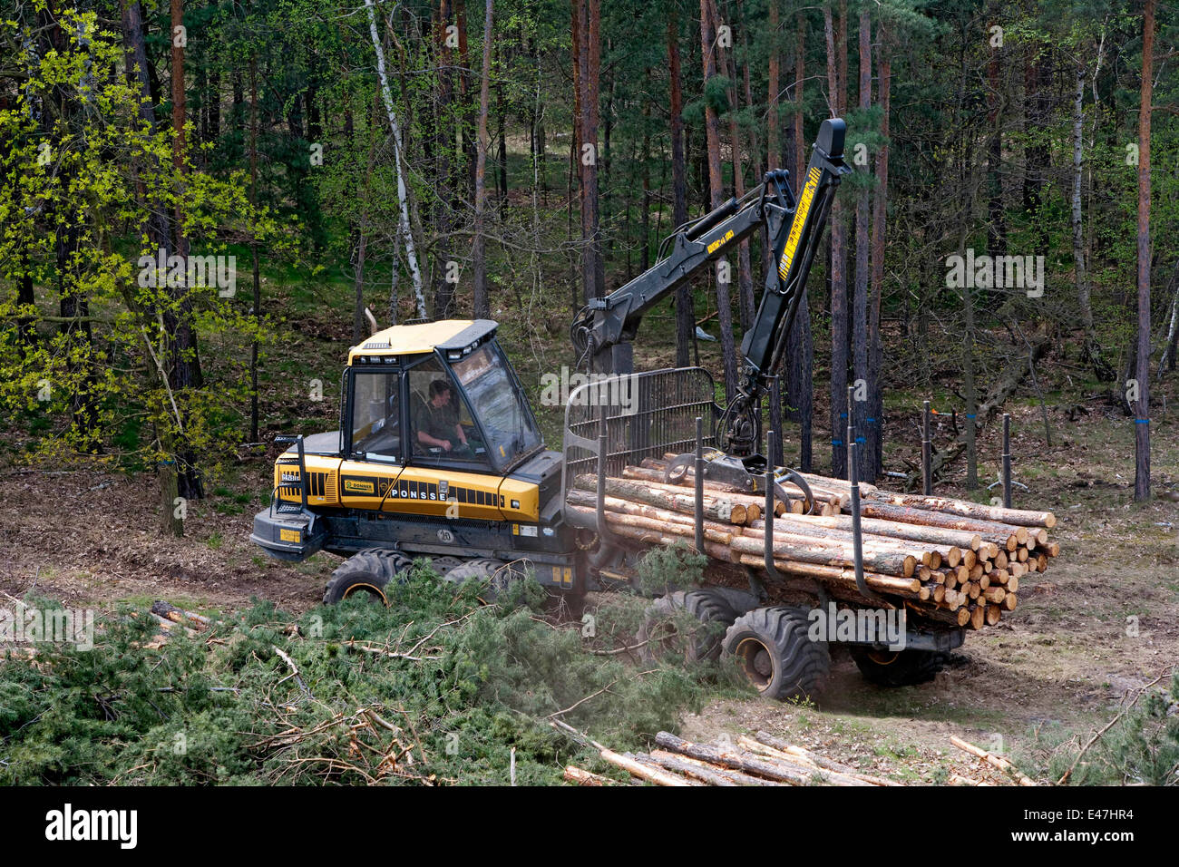 Forestry machine in action Stock Photo - Alamy