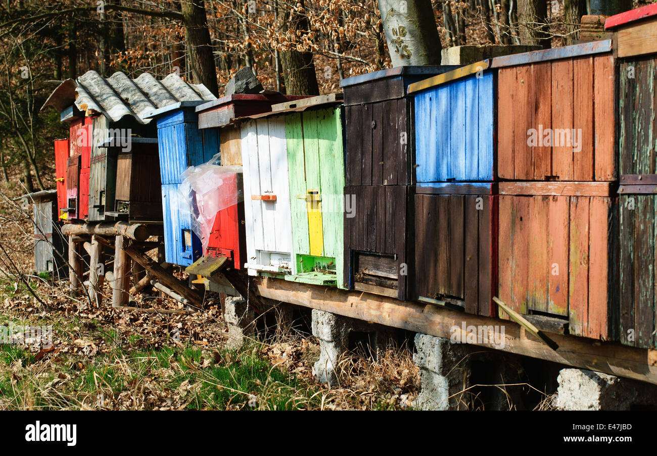 Colorful bee hives in the forest Stock Photo - Alamy
