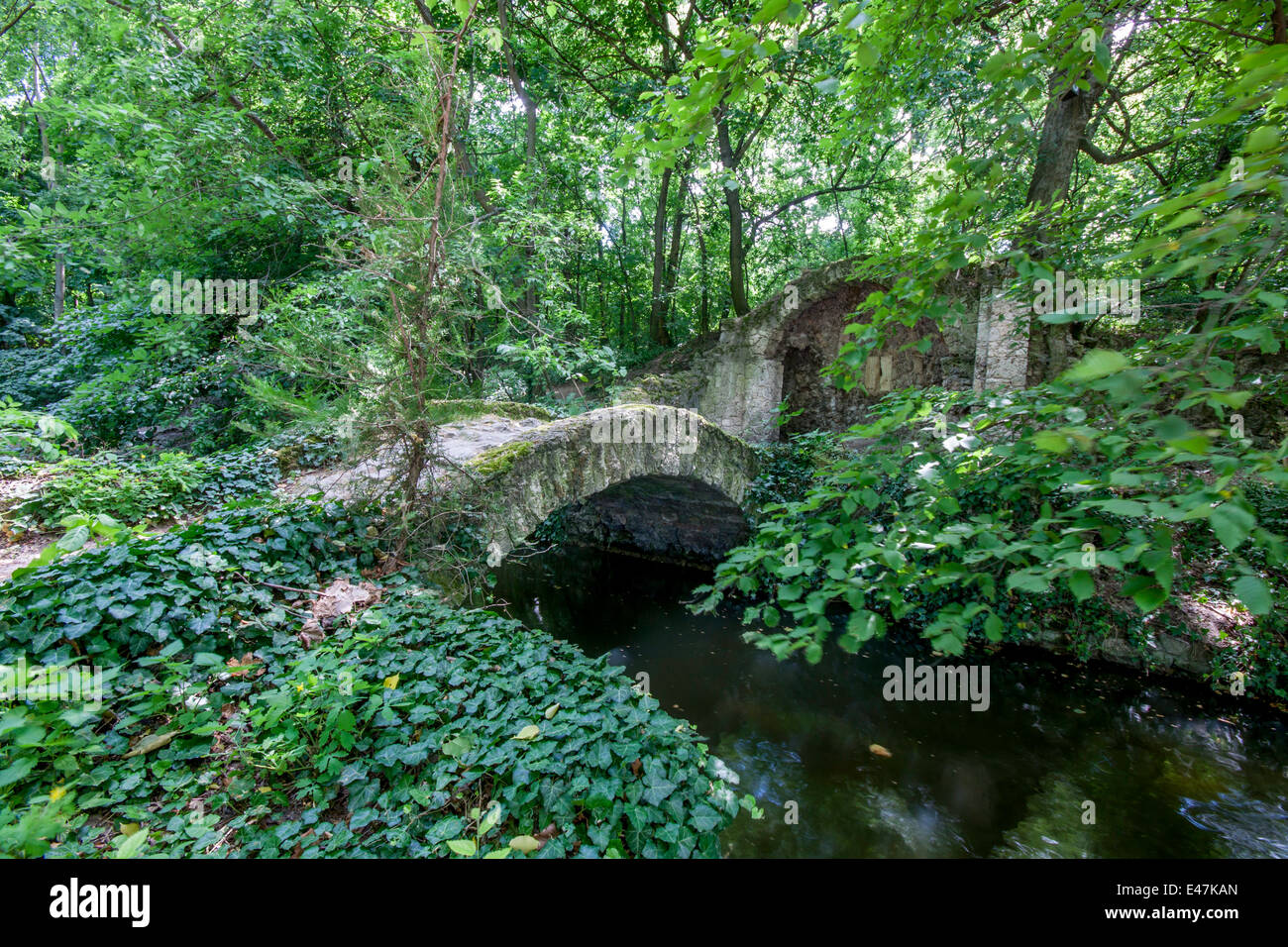an old stone bridge in the forest Stock Photo - Alamy