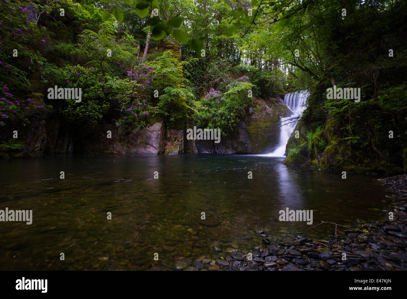 Waterfall, Furnace / Rhaeadr, Ffwrnais, Ceredigion Wales UK Stock Photo ...