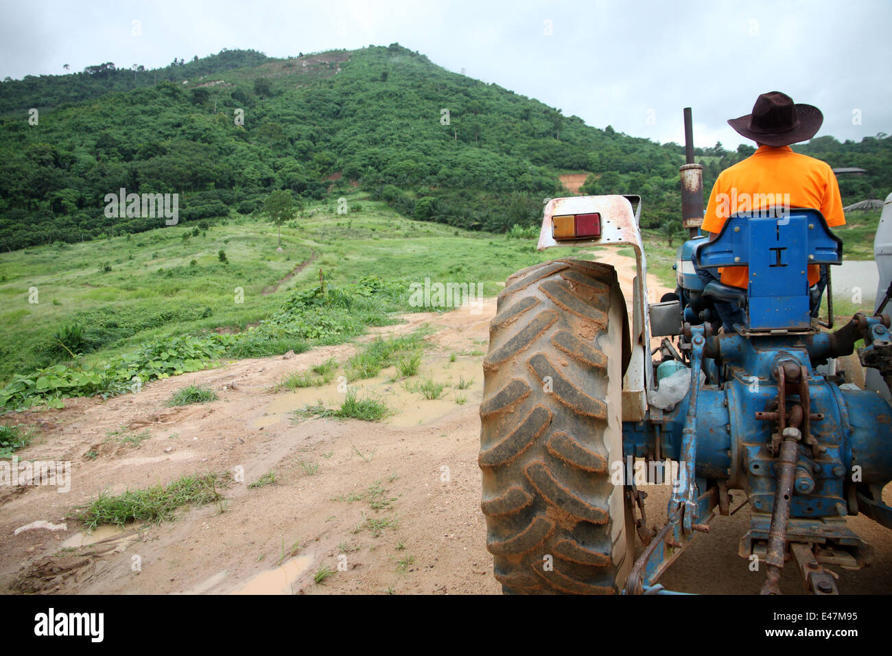 Farmer driving tractor in the rural farm Stock Photo - Alamy
