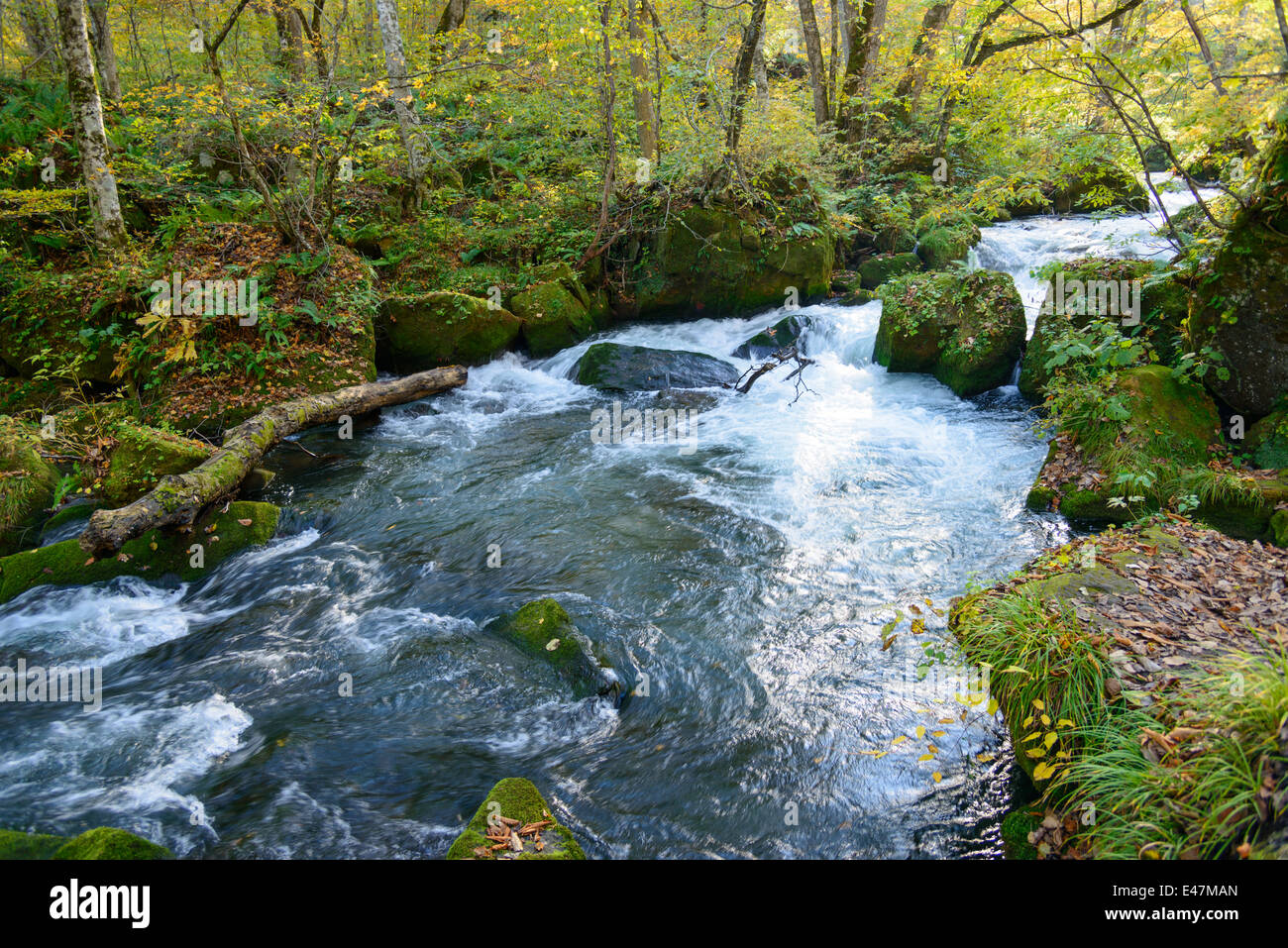 Autumn of Oirase Gorge in Aomori, Japan Stock Photo - Alamy