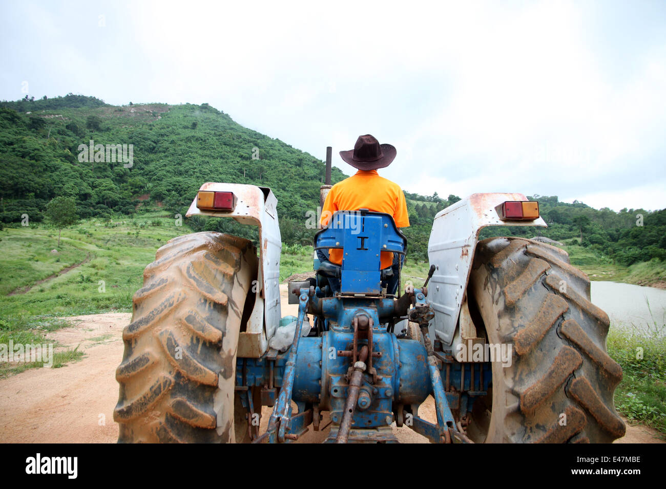 Farmer driving tractor in the rural farm Stock Photo - Alamy