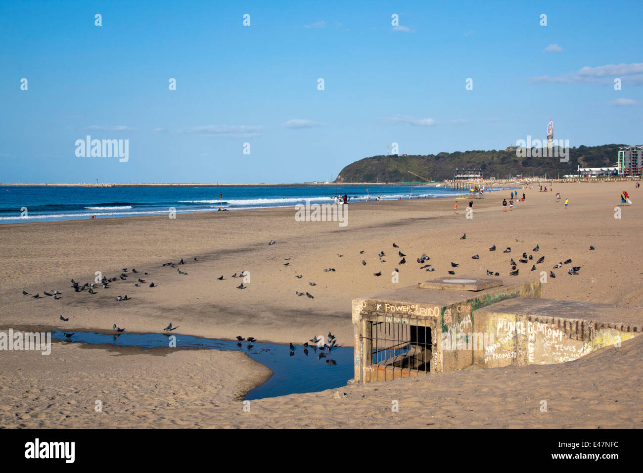 Many unknown people enjoy sunny day on beach with pigeons in foreground ...
