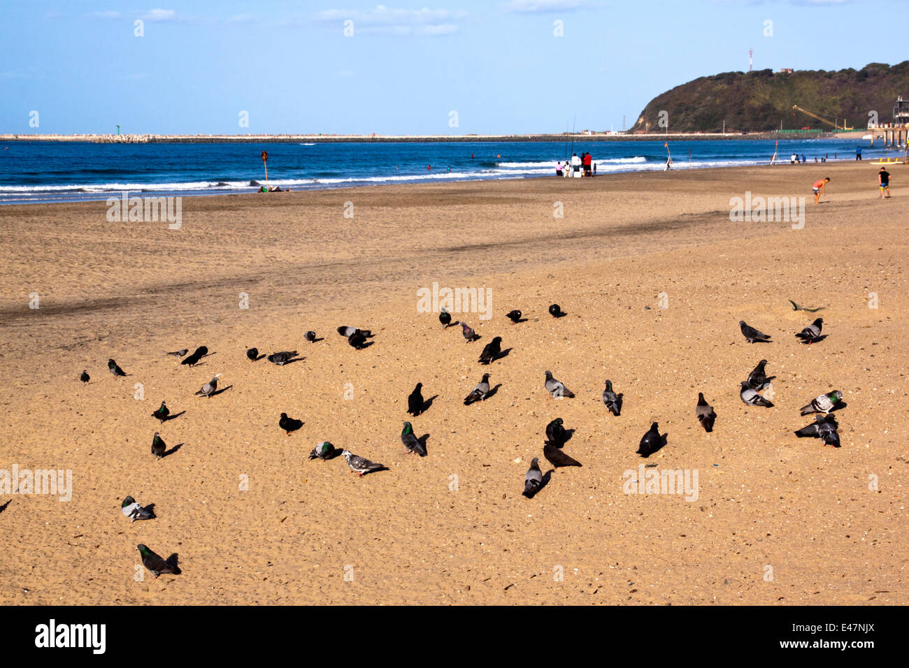 Addington beach durban hi-res stock photography and images - Alamy