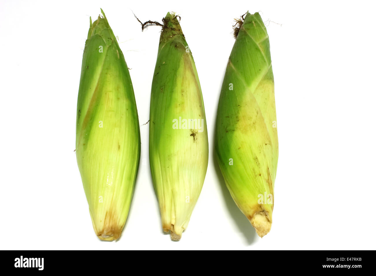 Ra element hi-res stock photography and images - Alamy