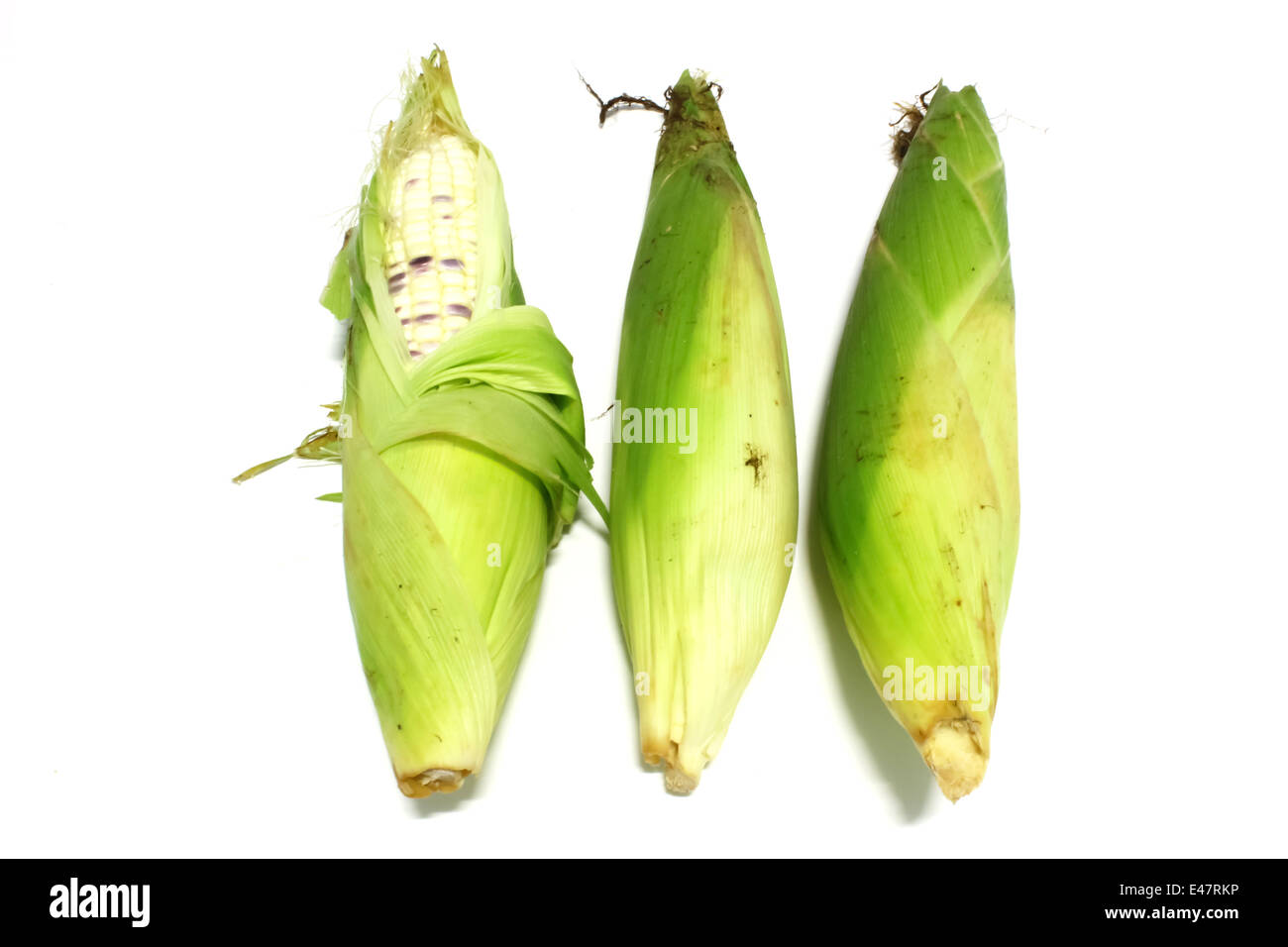Sweet corn field Cut Out Stock Images & Pictures - Alamy
