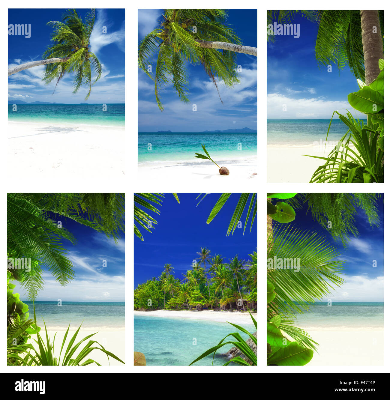Tropic theme collage composed of different images Stock Photo - Alamy