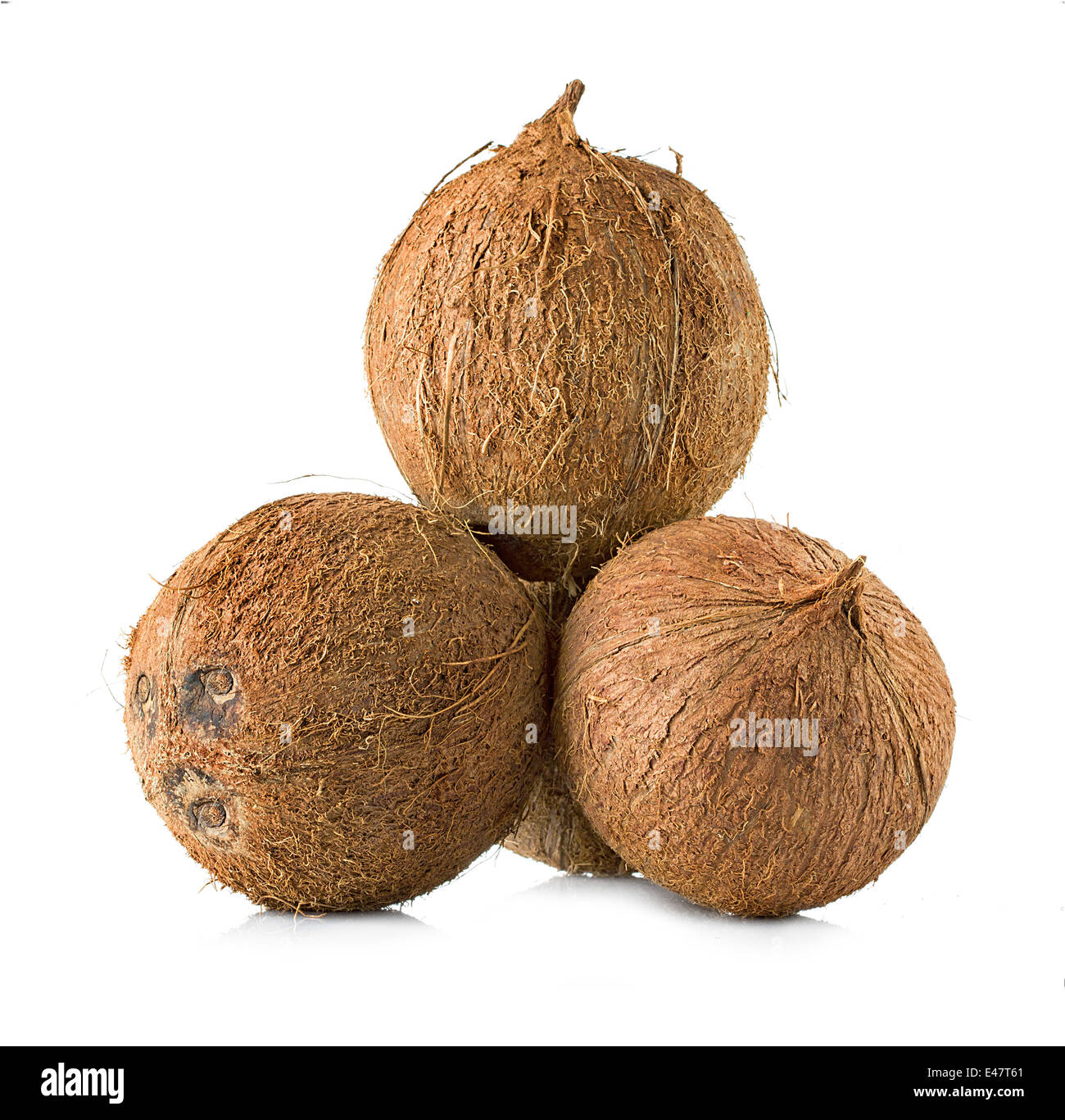 coconuts isolated on white background Stock Photo - Alamy coconuts isolated on white background Stock Photo - Alamy