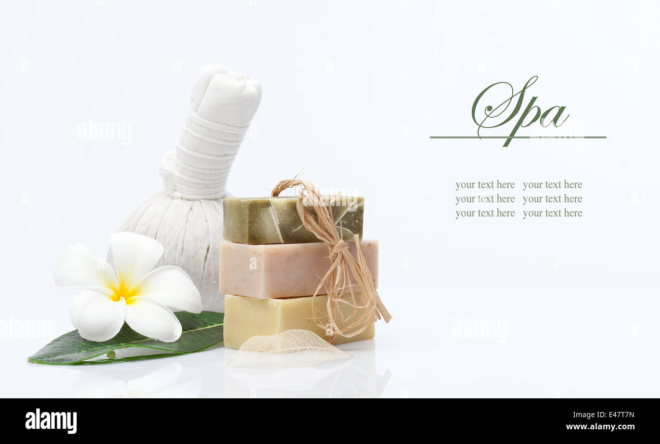 view of spa theme objects on white background. banner. lots of copy ...
